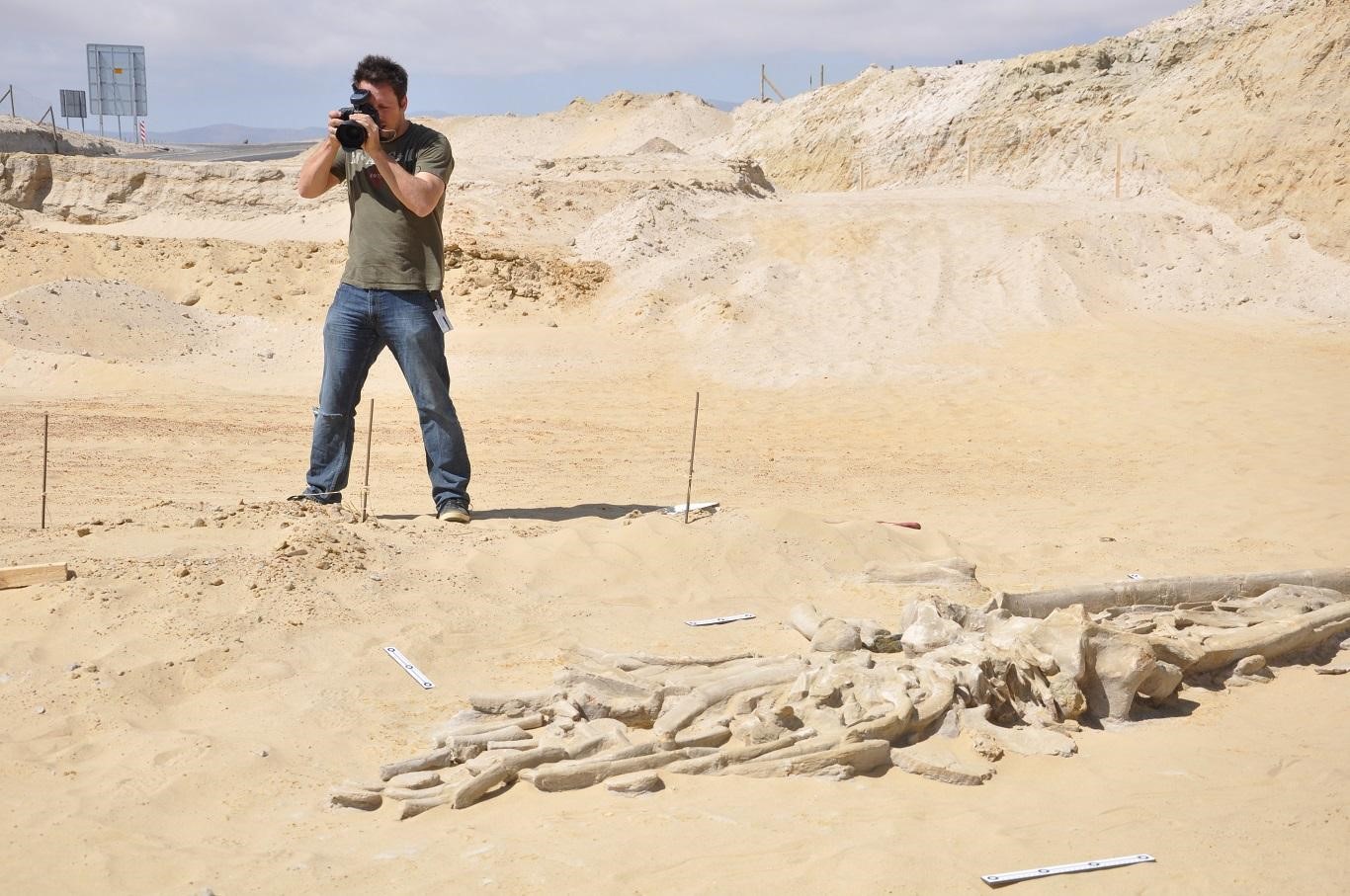 Vincent Rossi | Smithsonian Global