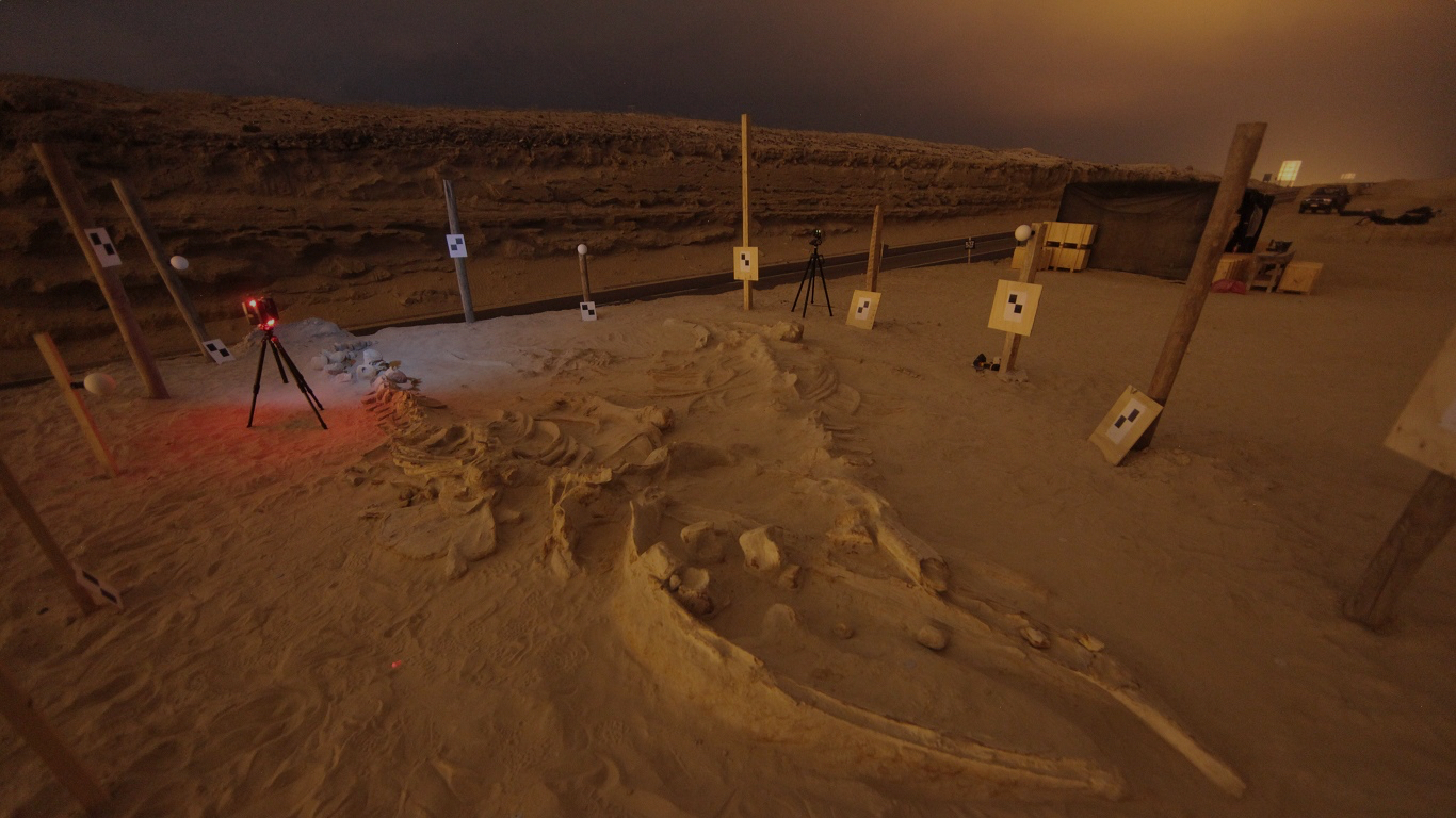 Learn How Smithsonian Paleontologists Are Studying Marine Fossils to ...